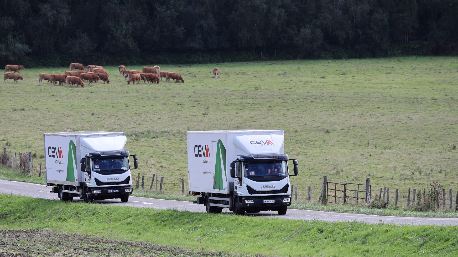 Sustainable transport, CEVA Logistics launches FORPLANET sub-brand